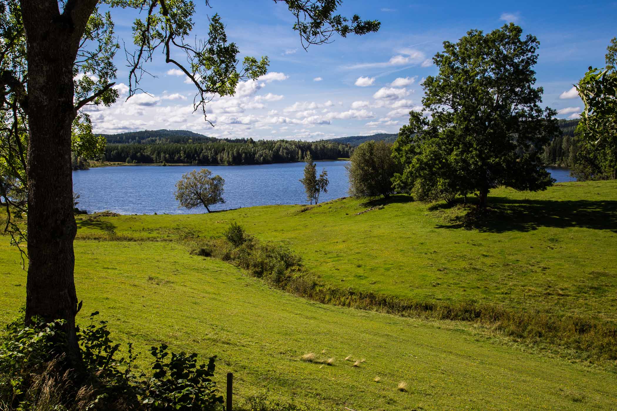 Stora Dalslandsturen. | Trippa