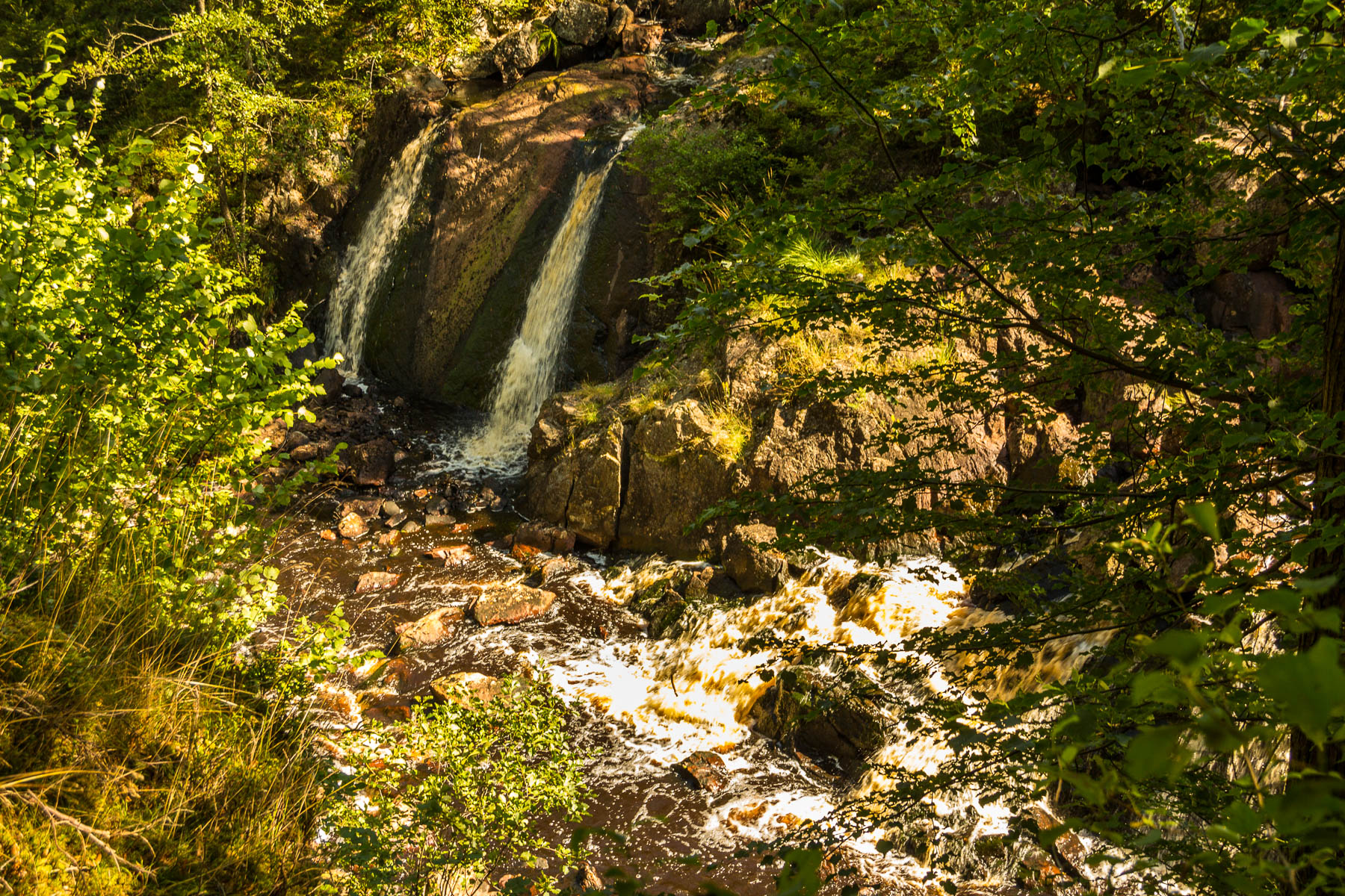 Danska fall | Trippa