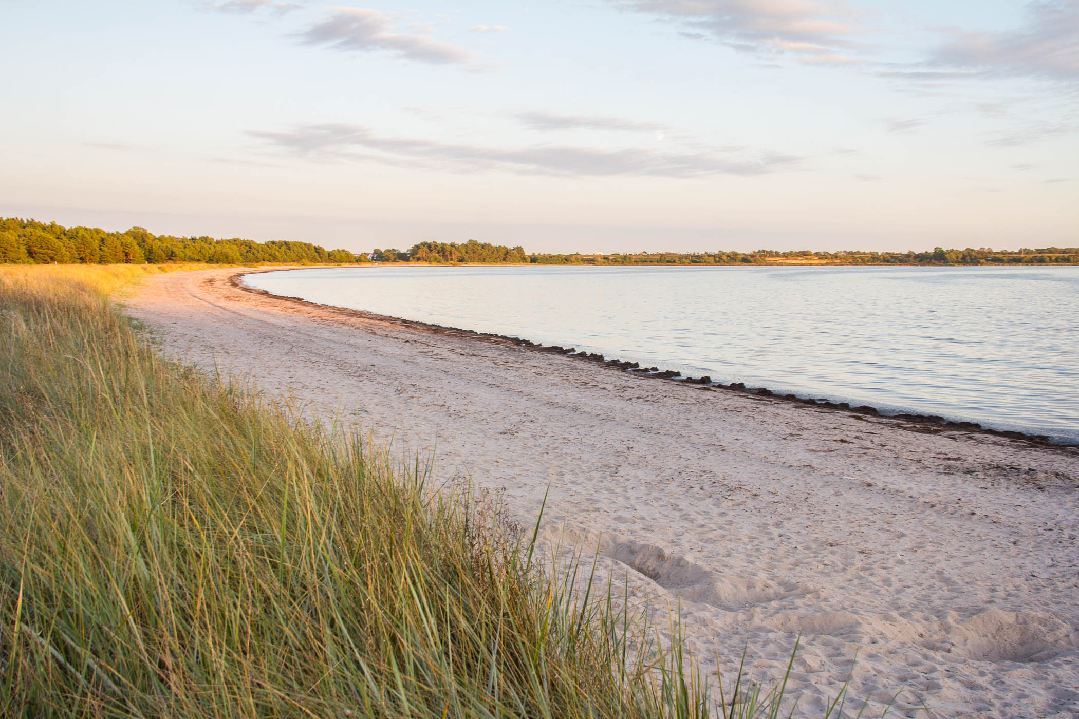 Sandvikens naturreservat och bad | Trippa