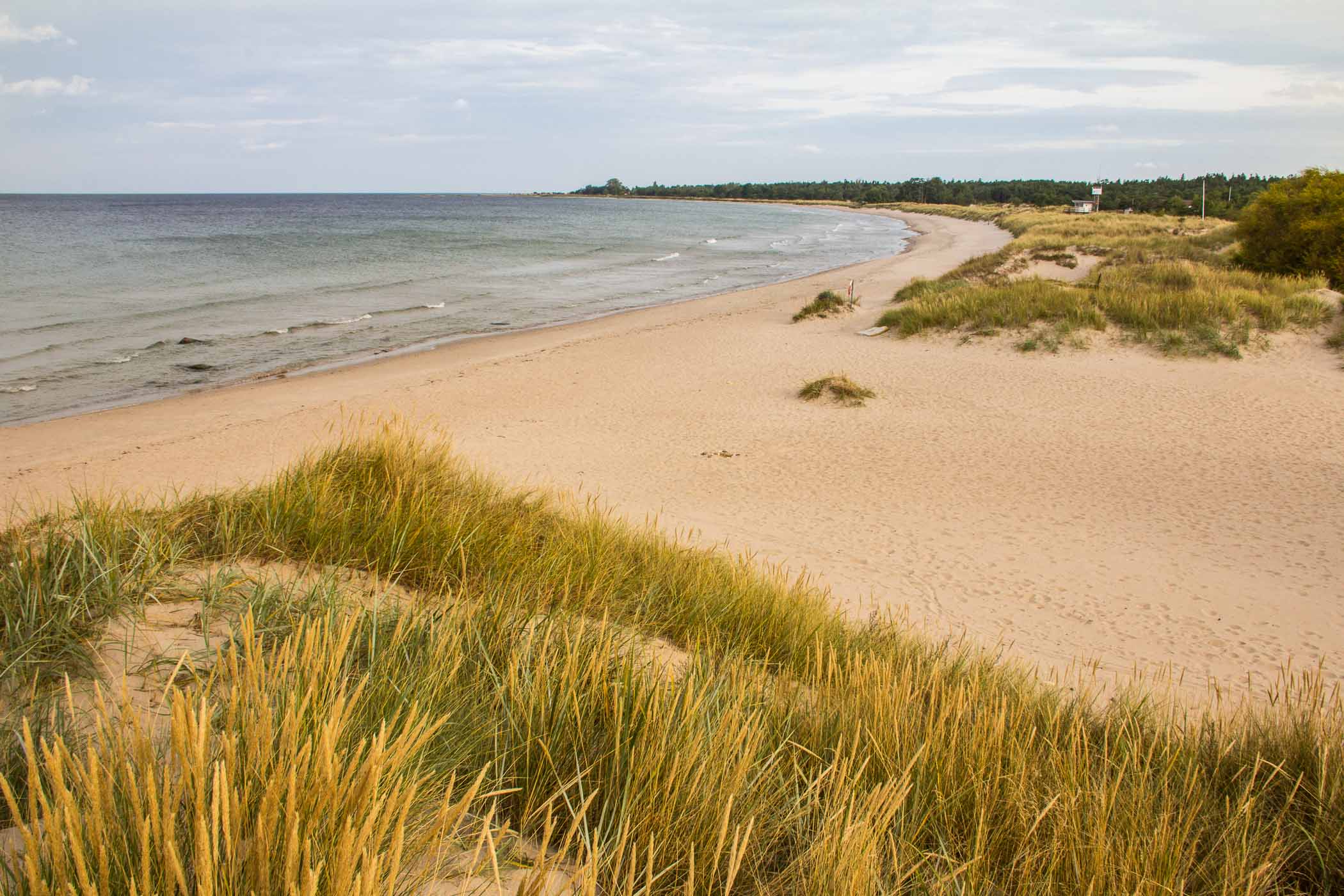 Tofta strand | Trippa