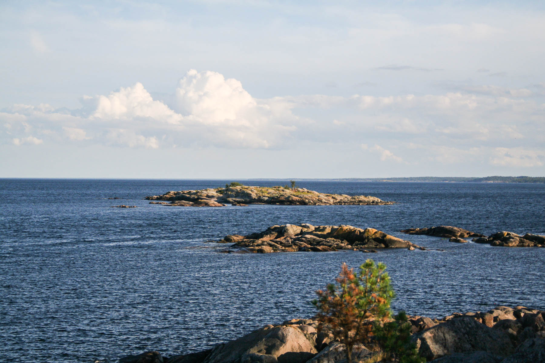 Skatudden Grisslehamn | Trippa