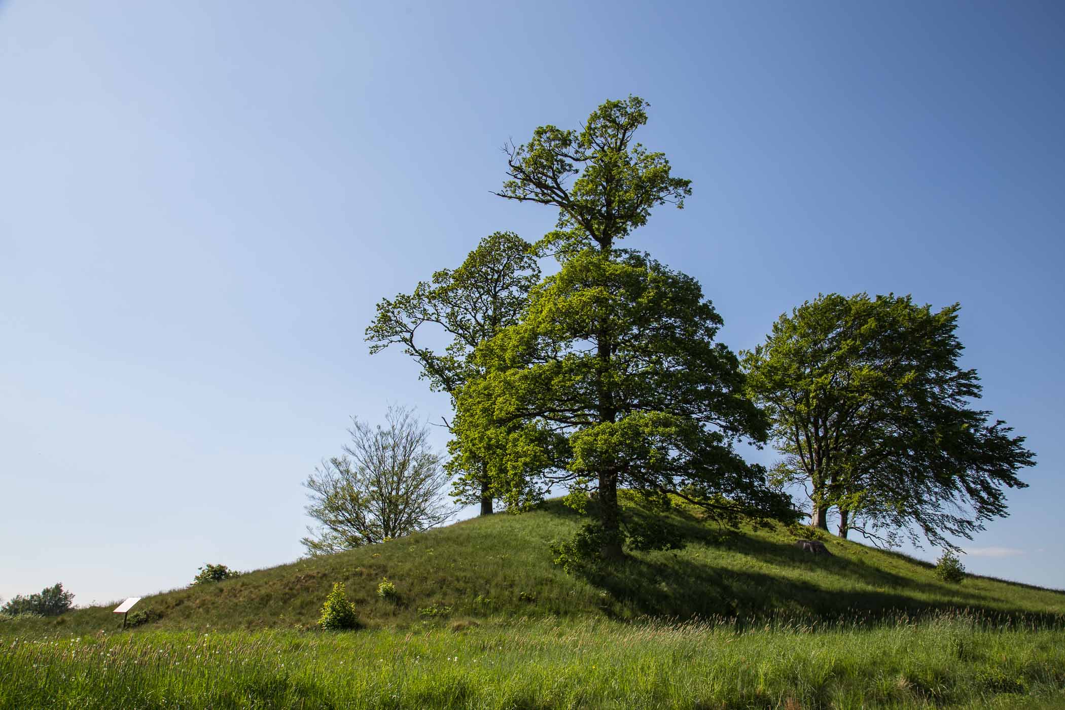 Ivars kulle. | Trippa