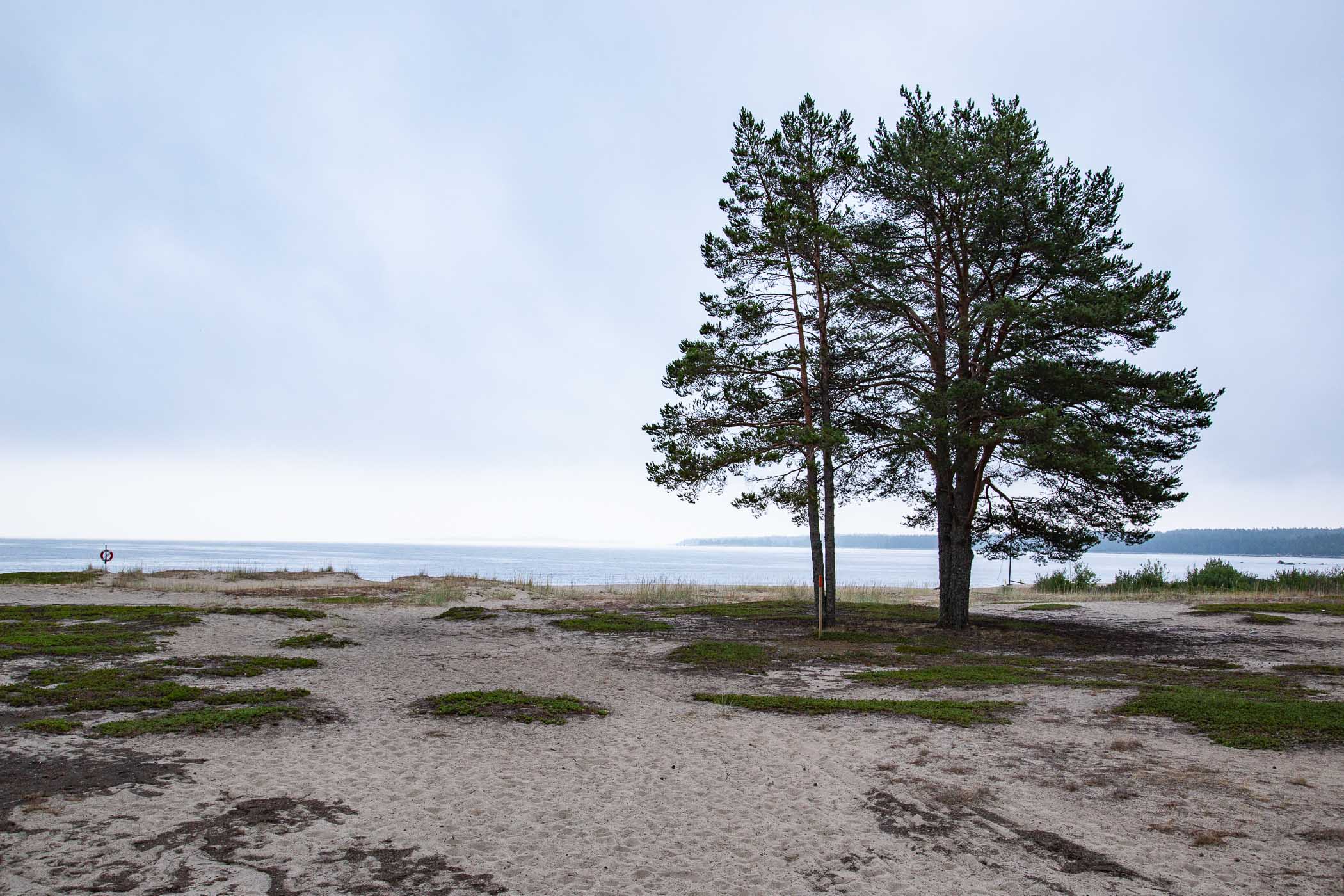 Sörfjärden... | Trippa