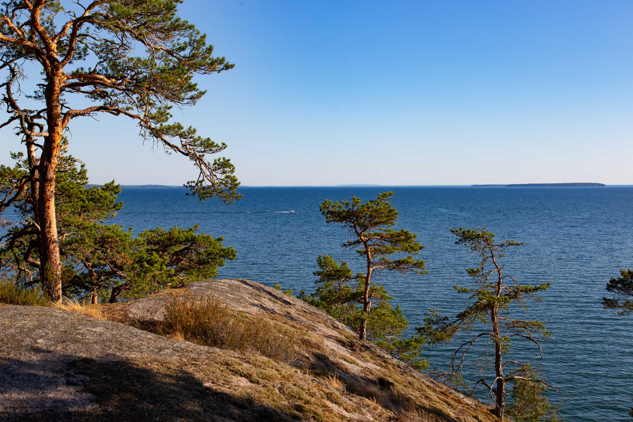 Harge Uddar naturreservat. | Trippa