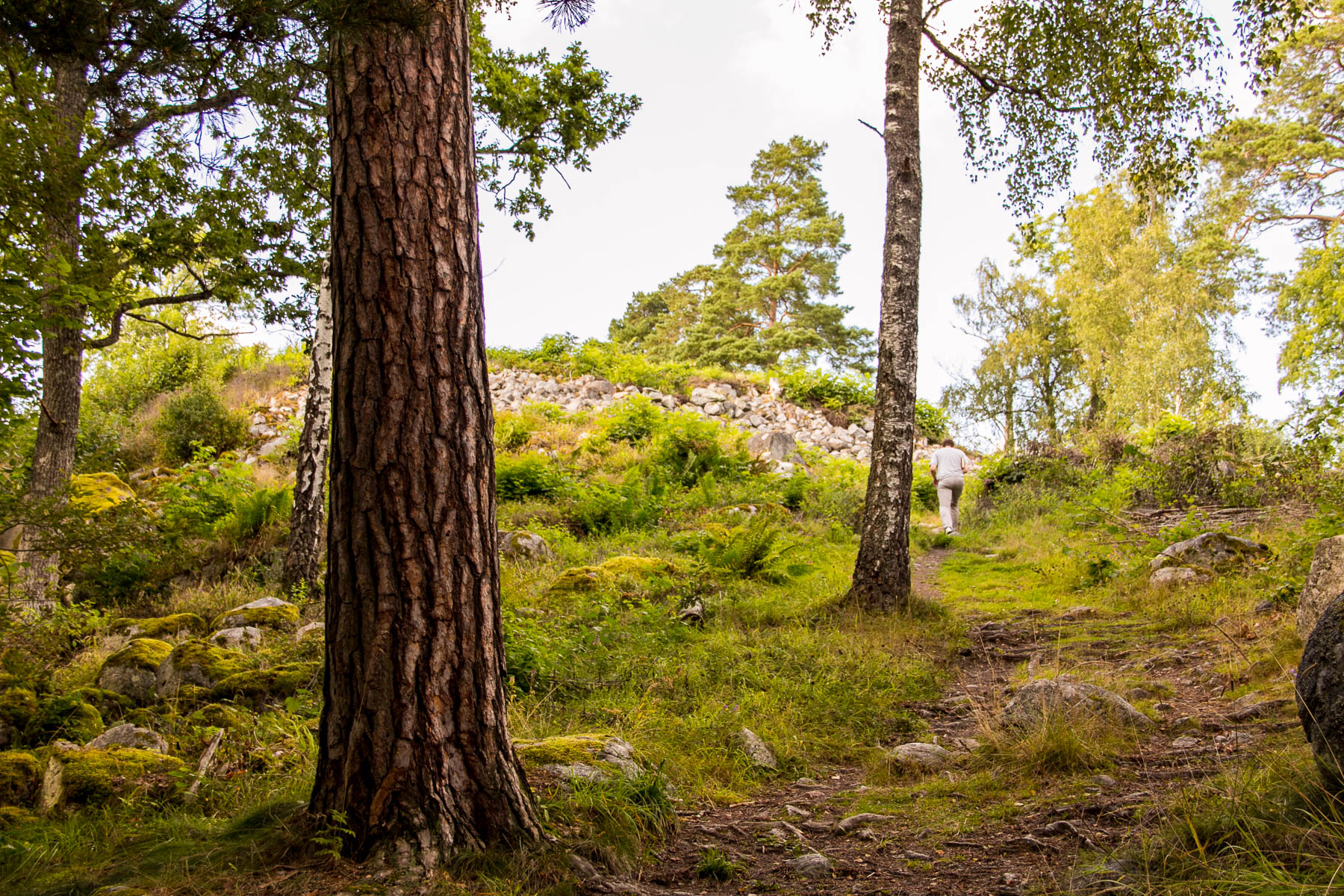 Runsa fornborg och utsiktsplats | Trippa