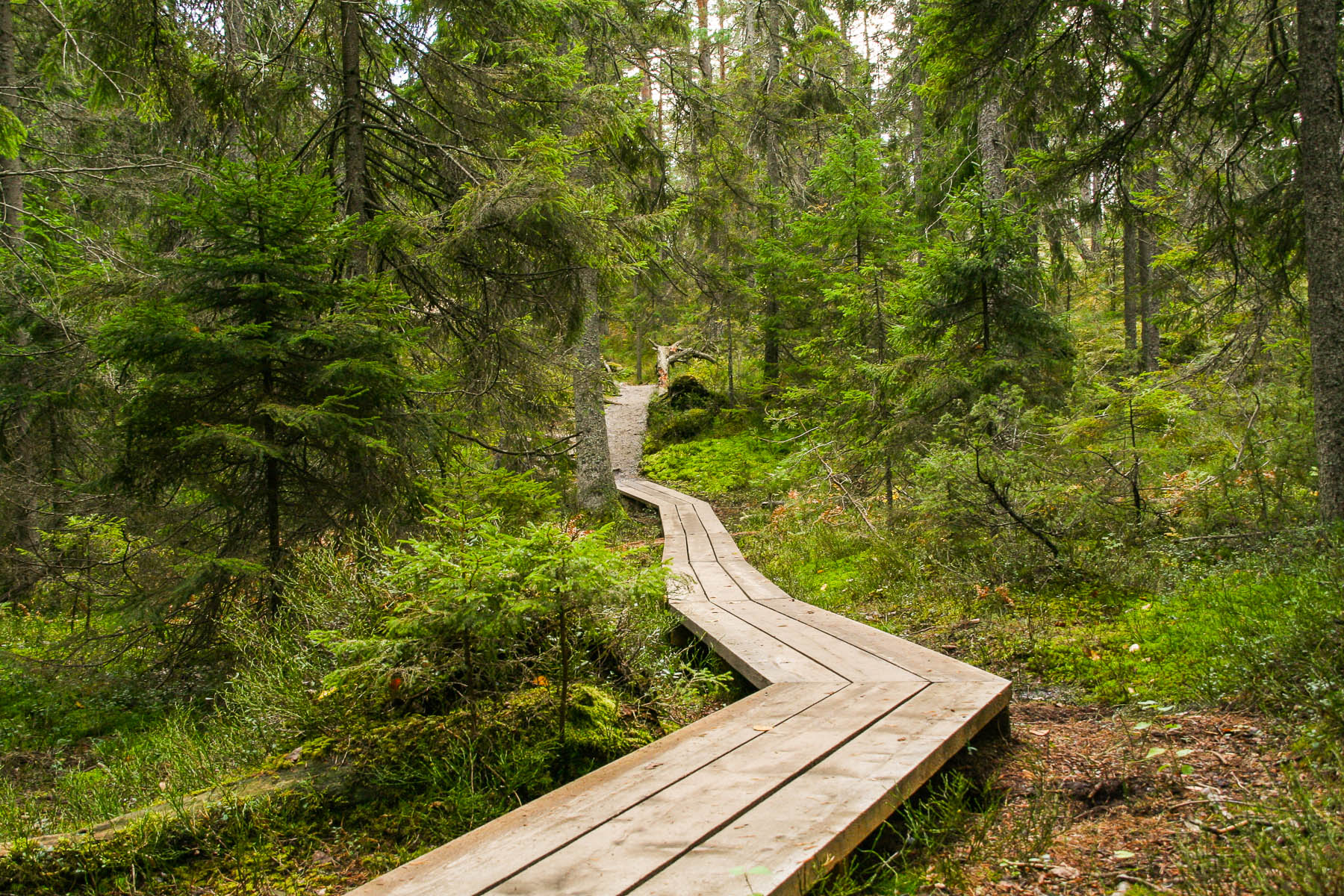 Tyresö slott – Tyresta nationalpark – Gålö – Dalarö | Trippa