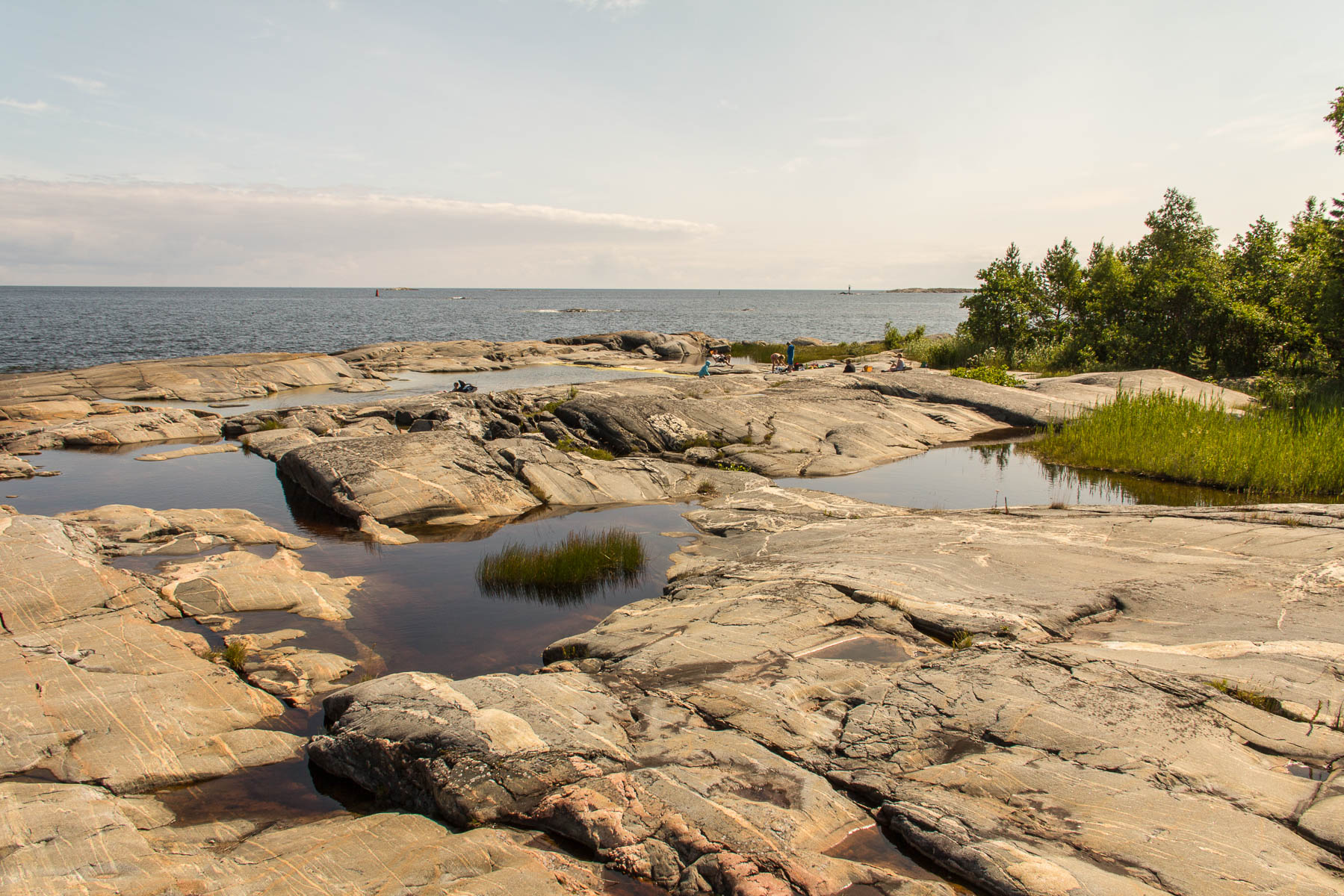 Södra Väddö | Trippa